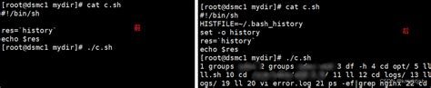shell脚本执行无结果回显事件 shell执行命令不输出结果 csdn博客