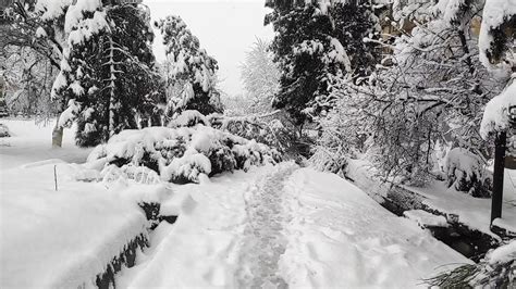 Такого снега ещё не было Снег в Ташкенте Холод 30 в Узбекистане Youtube