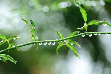 音声送信対処法メモ 日記風の近況報告