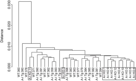 Dendogram Of Unsupervised Hierarchical Clustering Analysis Of Tumor
