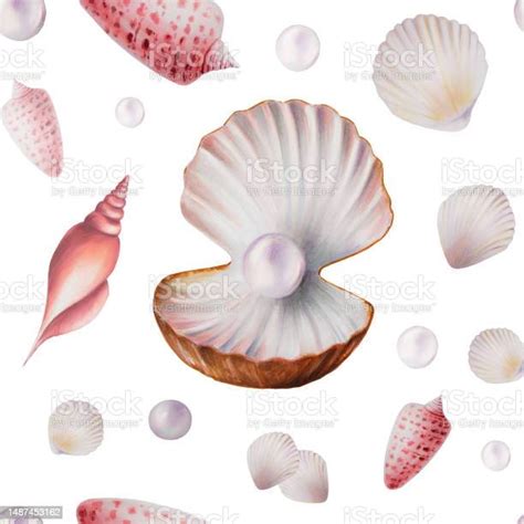조개껍데기와 진주가 있는 수채화 이음매 없는 패턴 손으로 그림을 그리는 클립아트 수중 생물은 흰색의 고립된 배경에 있다 디자이너 장식 엽서 포장지 스크랩북 표지 초대장 웨딩
