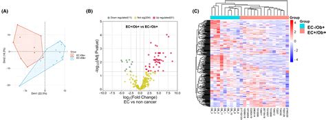 Mirna Levels Are Associated With Body Mass Index In Endometrial Cancer And May Have Implications