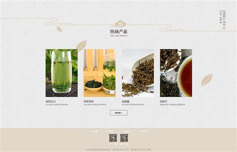 网页界面设计浪客风行 站酷zcool