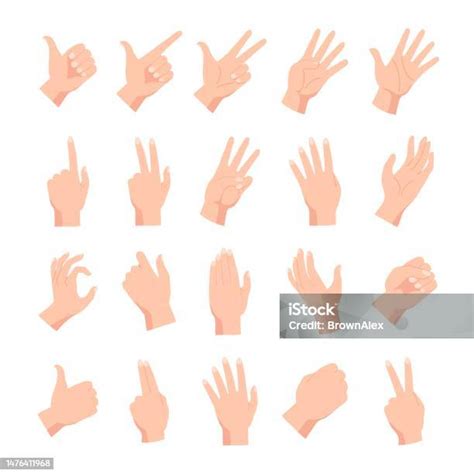 만화 인간의 여성 또는 남성 손 포즈와 제스처 손 잡고 가리키는 주먹 평화와 열린 손바닥 표현 암 위치 벡터 세트 가리키기에 대한 스톡 벡터 아트 및 기타 이미지 Istock