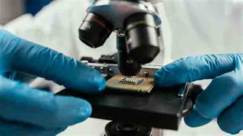 Lab Grown Brains Could Replace Silicon Based Computer Chips Education Nigeria