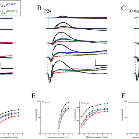 Light Adapted Electroretinography Representative Light Adapted Cone Download Scientific