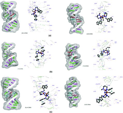 Docked Poses Of The Investigated Compounds Left And Binding Download Scientific Diagram