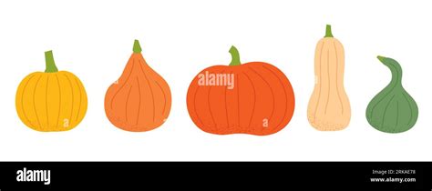 Set Of Colorful Various Pumpkins Vector Illustration Stock Vector