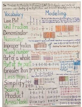 5th Grade Math Curriculum Anchor Charts By Aida Zjajo Tpt