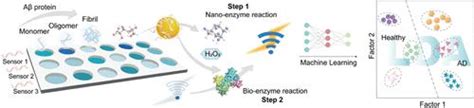用于快速检测淀粉样蛋白的机器学习辅助纳米酶 生物酶双耦合阵列 Analytical Chemistry X Mol