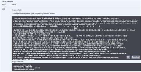 Creating A Plumber Api That Generates Video Mp4 General Posit Community
