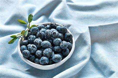 신선한 유기농 블루베리 파란색 천에 흰색 그릇에 육즙이 잘 익은 월귤나무속 항산화 및 건강한 식생활 개념 평면도 배경 주제에 대한 스톡 사진 및 기타 이미지 Istock