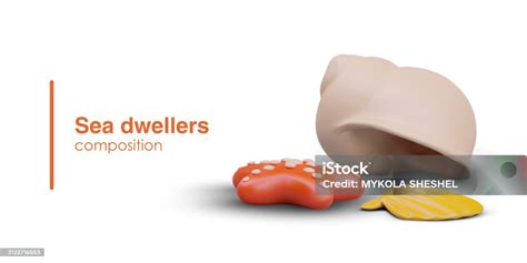 바다 생물 거주자 벡터 사실적인 구성 불가사리 다양한 종류의 조개 0명에 대한 스톡 벡터 아트 및 기타 이미지 0명 3차원 형태 가리비 Istock