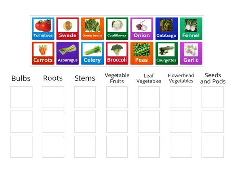 Vegetable Groups Classifications Group Sort
