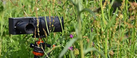 Real Time Hyperspectral Imaging For In Field Data Collection