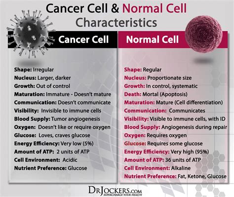 Cancer Vs Normal Cell Public Health Notes