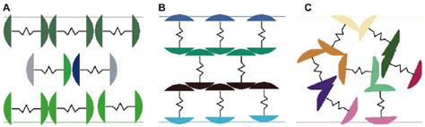 The Effect Of Cell Alignment On Top To Bottom Connectivity The Type Of Download Scientific