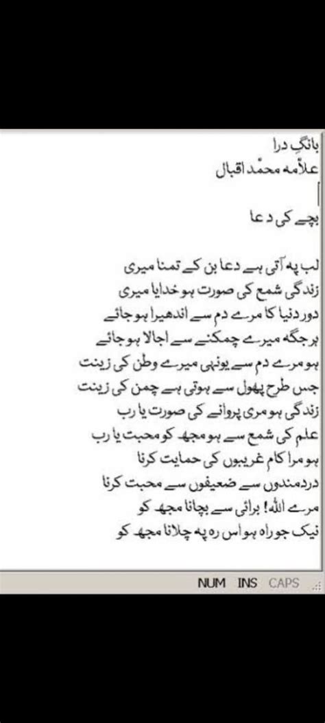 Do Any Type Of Urdu Typing In Ms Word And Data Entry Job By Insha