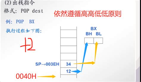 数据传送类指令（push pop lea push和pop指令 csdn博客