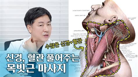 목빗근 흉쇄유돌근 풀어서 뇌혈관질환 예방 두통 어지럼증 브레인포그 불면증 뇌압 안압 목 어깨 긴장 통증 자율신경 증상 해결하기 Youtube