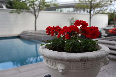 Servicenowを利用して証明書管理をもっと簡単に！