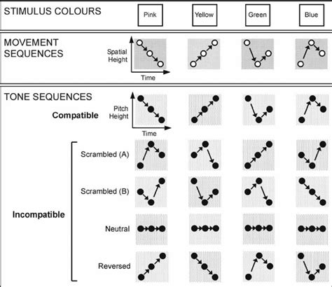 Stimulusresponse Colourmovement Sequence And Response Effect