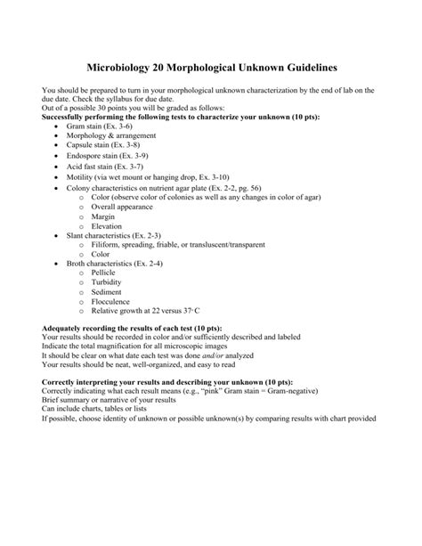Guidelines For Morphological Unknown