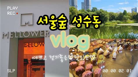 Vlog 서울데이트 성수동 서울숲 예쁜카페 성수동핫플 맛집 데이트코스 Youtube