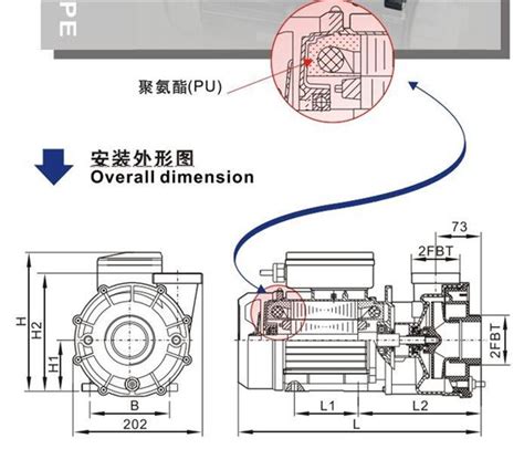 Intex Pool Pump Setup Diagram