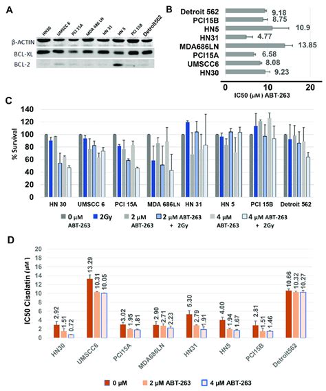 Baseline Bcl Xl Expression And Inhibition Of Bcl Xl With Abt 263 Download Scientific Diagram