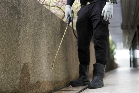 Will Cockroach Repellents Be Enough To Keep Them Away Pestbusters