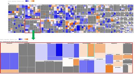 Expression Analysis Heatmap For Disease And Functional Pathways Download Scientific Diagram