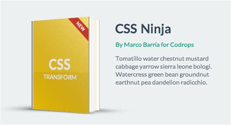 Animated Books With Css 3d Transforms Codrops Animated Book Css