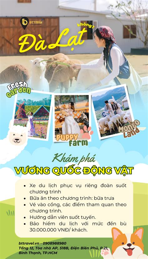 Truyền Thông Nội Bộ Ttnbvn