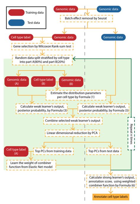 Scannotate An Automated Cell Type Annotation Tool For Single Cell Rna Sequencing Data Rna