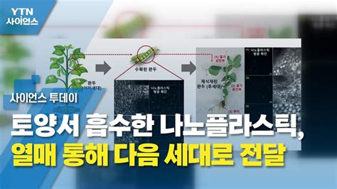 토양서 흡수한 나노플라스틱 열매 통해 다음 세대로 전달 Ytn 사이언스 Youtube