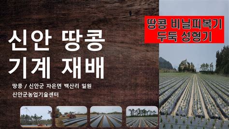 2023년 5월 10일 신안땅콩 파종전 두둑성형 및 비닐피복작업 2 Youtube