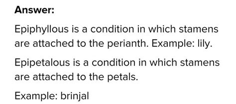 What Is Difference Between Epiphyllousepitepalous And Epipetalous