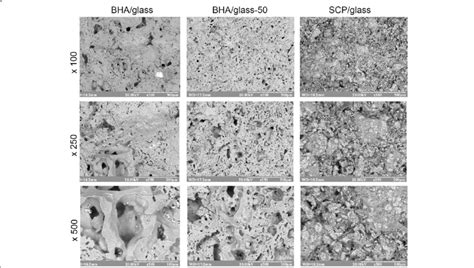Fracture Surface Microstructure Of Different Types Of Glass Ceramic