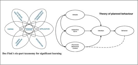 Theoretical Frameworks That Informed The Development Of The