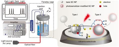Photoelectrochemical Setup And Schematic Representation Of Stochastic Download Scientific
