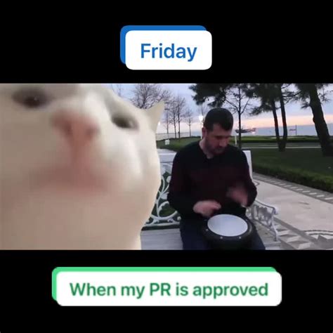 Video Nelson Djalo On Linkedin Fridayfeeling Softwaredeveloper