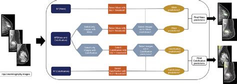 Figure 2 From Breast Lesions Detection And Classification Via Yolo Based Fusion Models