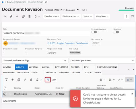 Document Connection On Custom Lu Error On Object Details Ifs Community