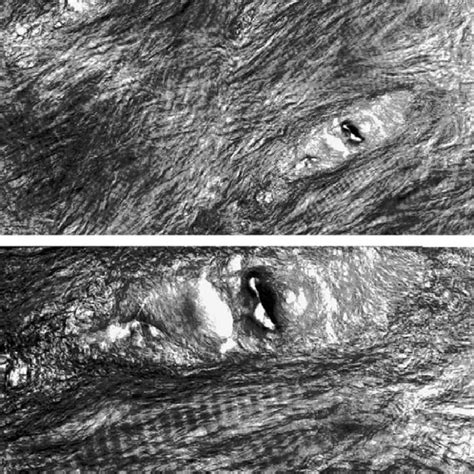 Uniaxial Compressive Strength Ucs Test Download Table
