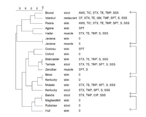 UPGMA Dendrogram Based On The Similarity Matrix Showing The Download Scientific Diagram
