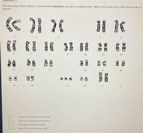 Solved The Karyotype Below Depicts A Chromosomal Mutation Caused By