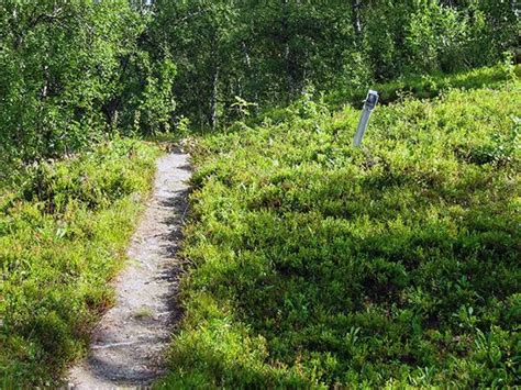 Fångstgropar I Solberg Hemavan Tärnaby