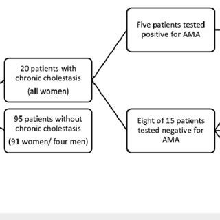 Prevalence Of Primary Biliary Cholangitis In Patients With Primary Download Scientific Diagram