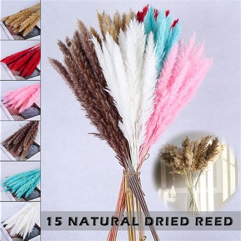 Natural Dried Flower Pampas Grass Bundle Home Office Decor 15pcsset Wish